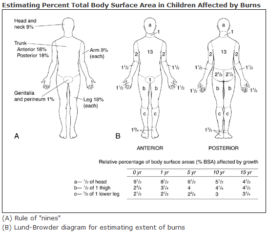 Appendix VI – Burn and Burn Fluid Charts – CHEMS Field Treatment Guidelines