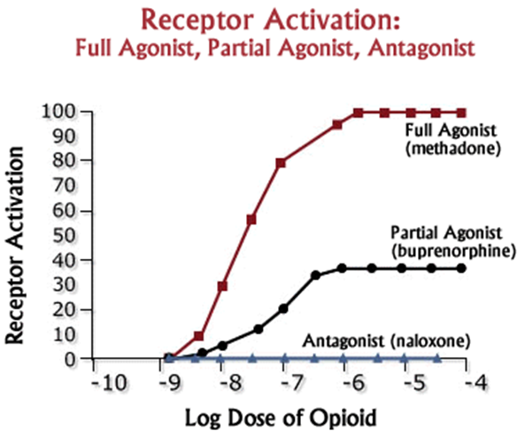 Opioid Withdrawal – CHEMS Field Treatment Guidelines